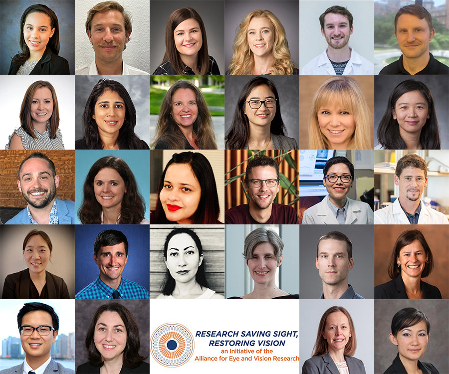 Emerging Vision Scientist Program - NAEVR/AEVR